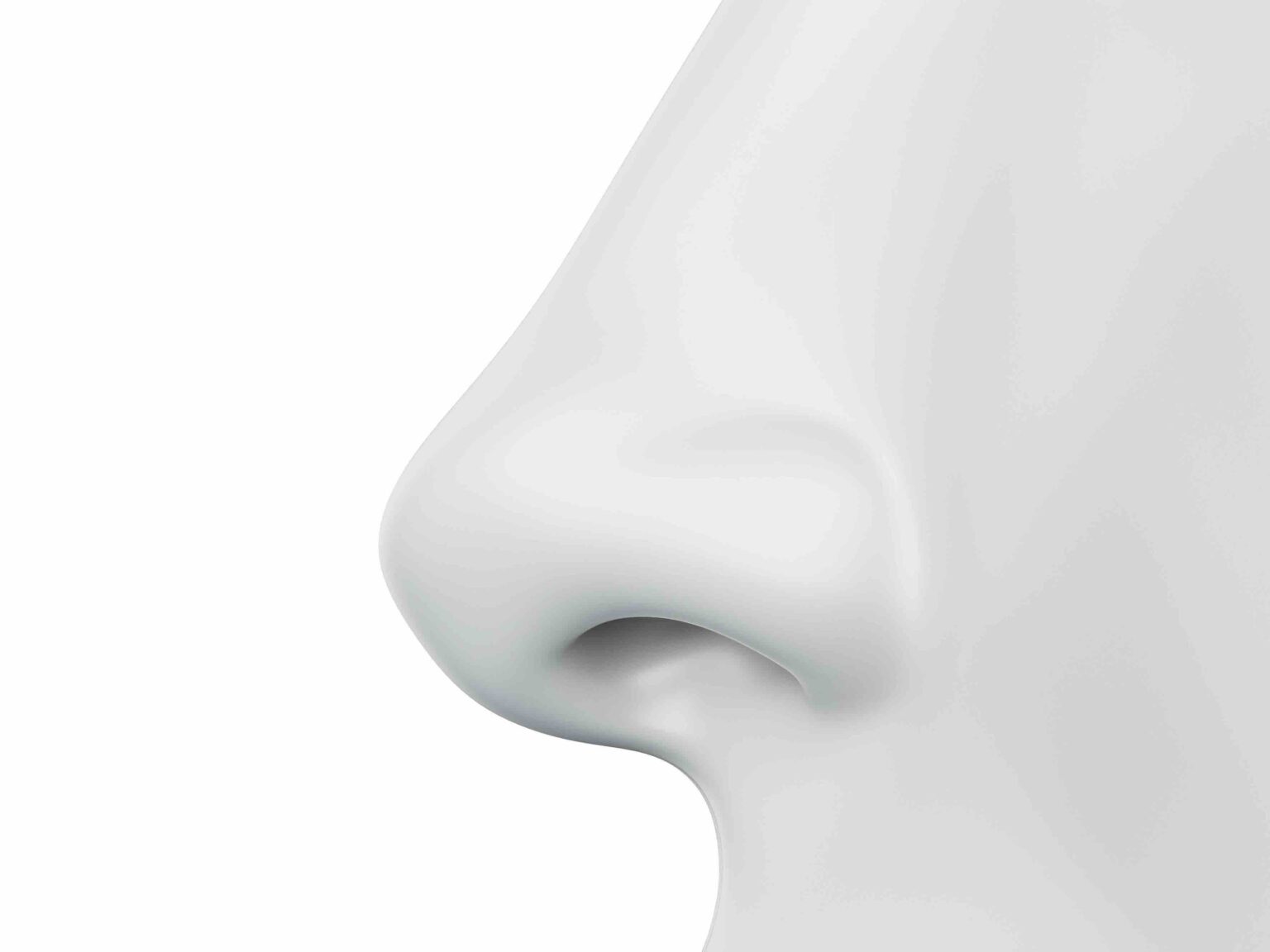 What Is the Most Attractive Nose Shape? | Dr Mark Doyle