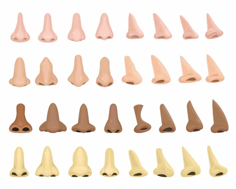 What Is the Most Attractive Nose Shape? | Dr Mark Doyle